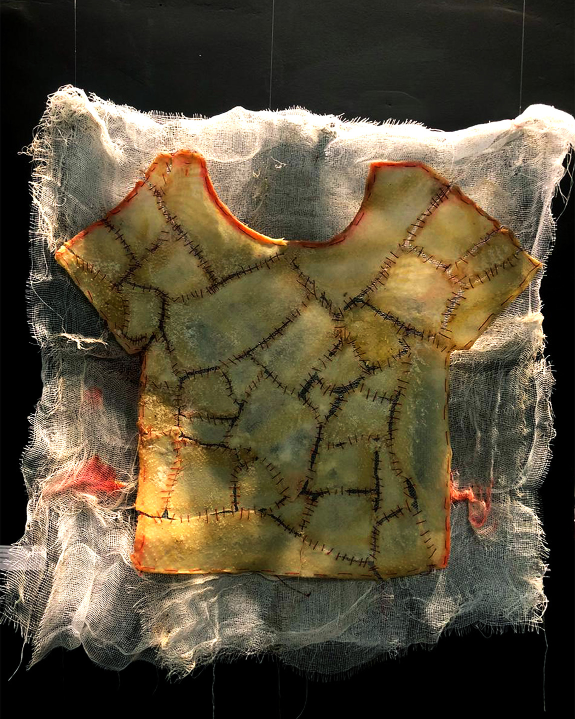 Piloerección de Lomonósov-Lavoisier - Preliminar