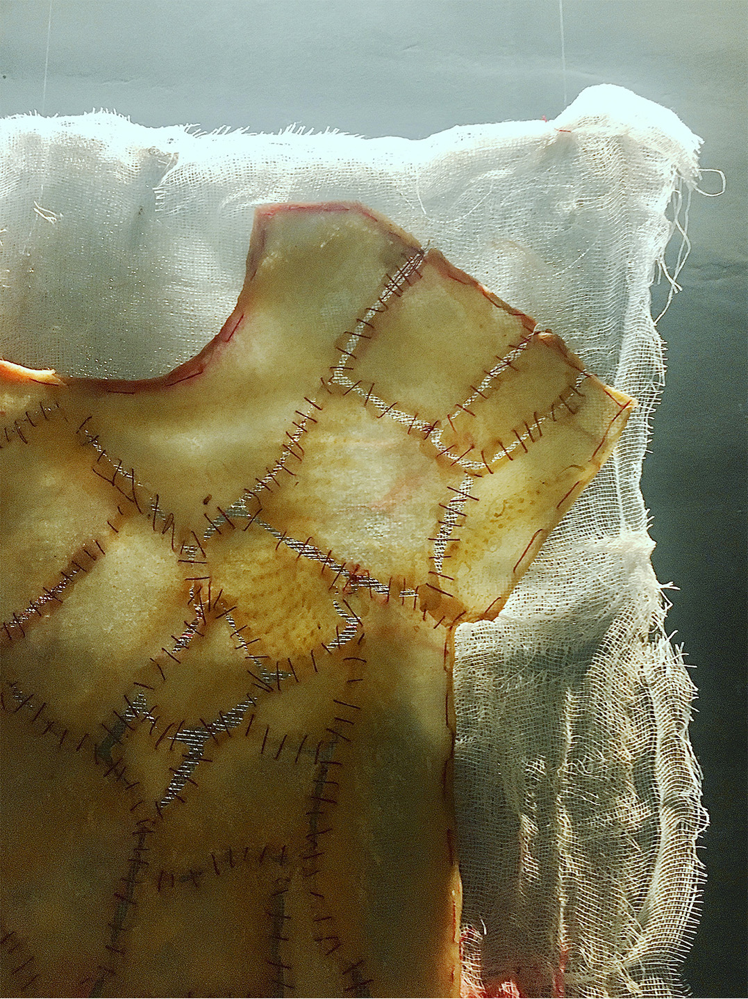 Piloerección de Lomonósov-Lavoisier - Preliminar