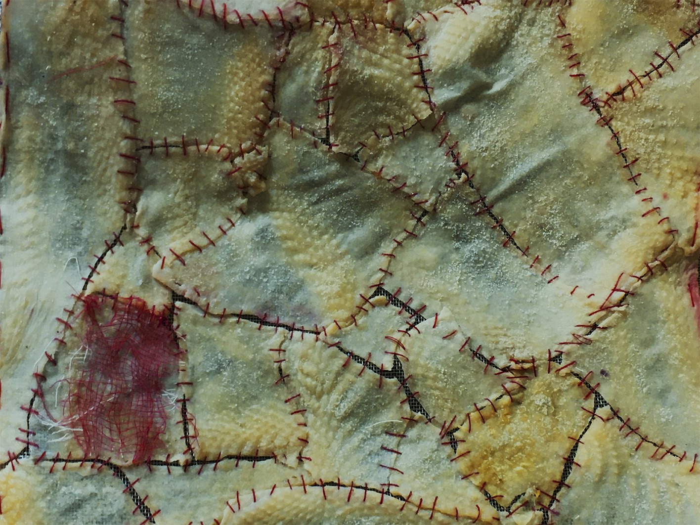 Piloerección de Lomonósov-Lavoisier - Preliminar